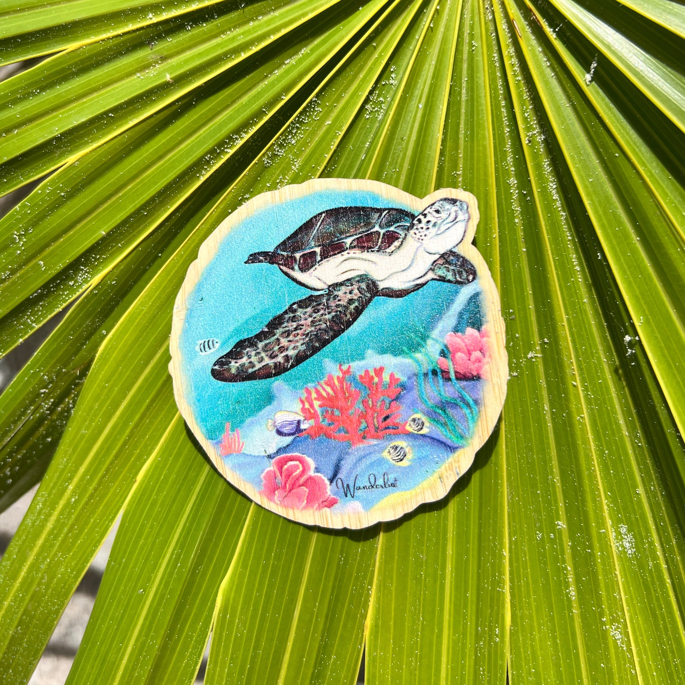 Turtle Reef - Bamboo Sticker – Wanderlust Hats & Apparel